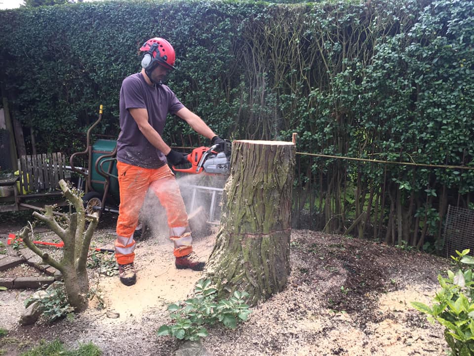 Explore a Wide Range of Quality Timber at Timber Dans - For Sale